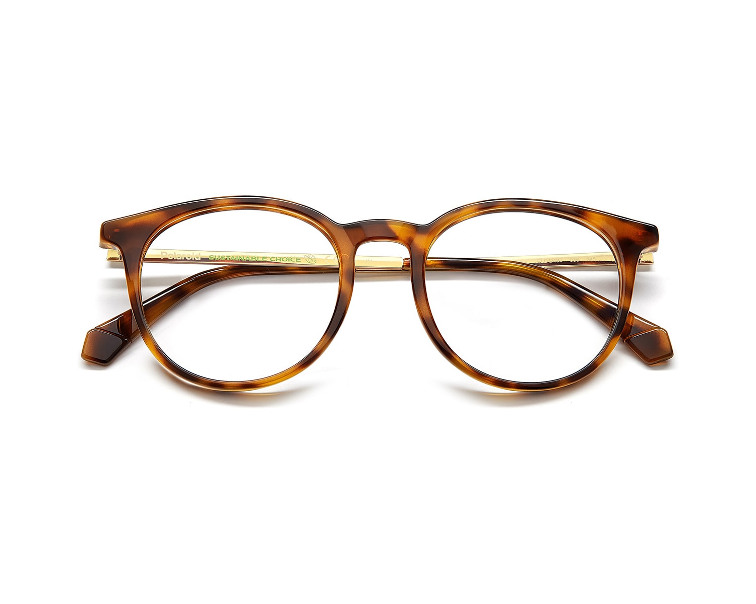 Óculos de Grau Polaroid PLDD496 086-50 - Officina 7